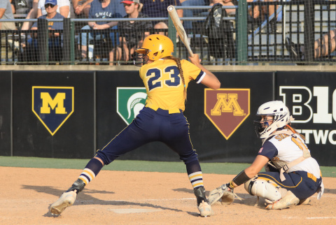Standish-Sterling Claims 1st Softball Title on Senior's Season-Ending ...