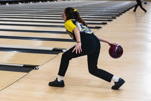 Be the Referee: Bowling Ball Rules | Michigan High School Athletic ...