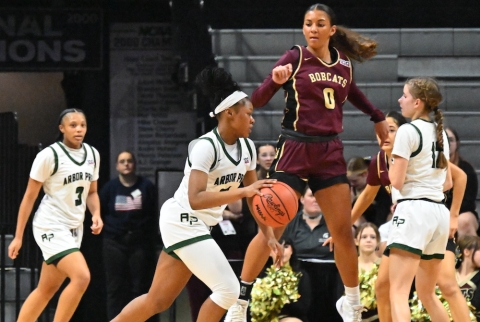 Arbor Prep Wins Semifinal Rematch of Last Season's Division 3 Decider ...