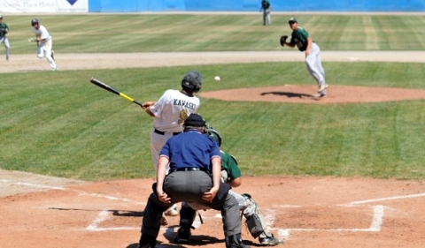D4 Baseball: Decatur Strikes Late | Michigan High School Athletic ...