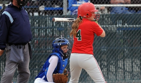 Softball Stars Finish as Record Breakers | Michigan High School ...