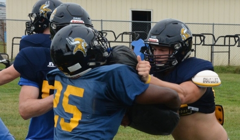 Haslett Saving Big Hits for Game Time | Michigan High School Athletic ...